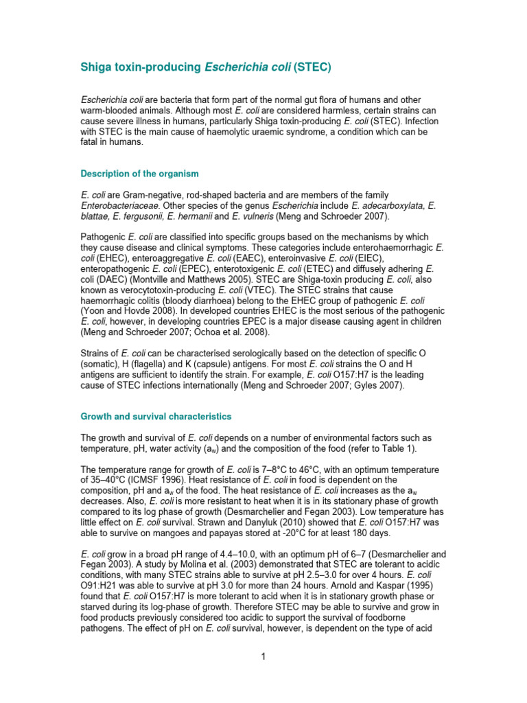 Shiga Toxin-Producing Escherichia Coli (STEC) | PDF | Escherichia Coli | Foodborne Illness