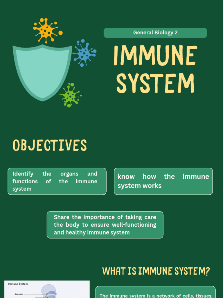 Immune-System-_20240423_062133_0000 | PDF | Immune System | Adaptive Immune System
