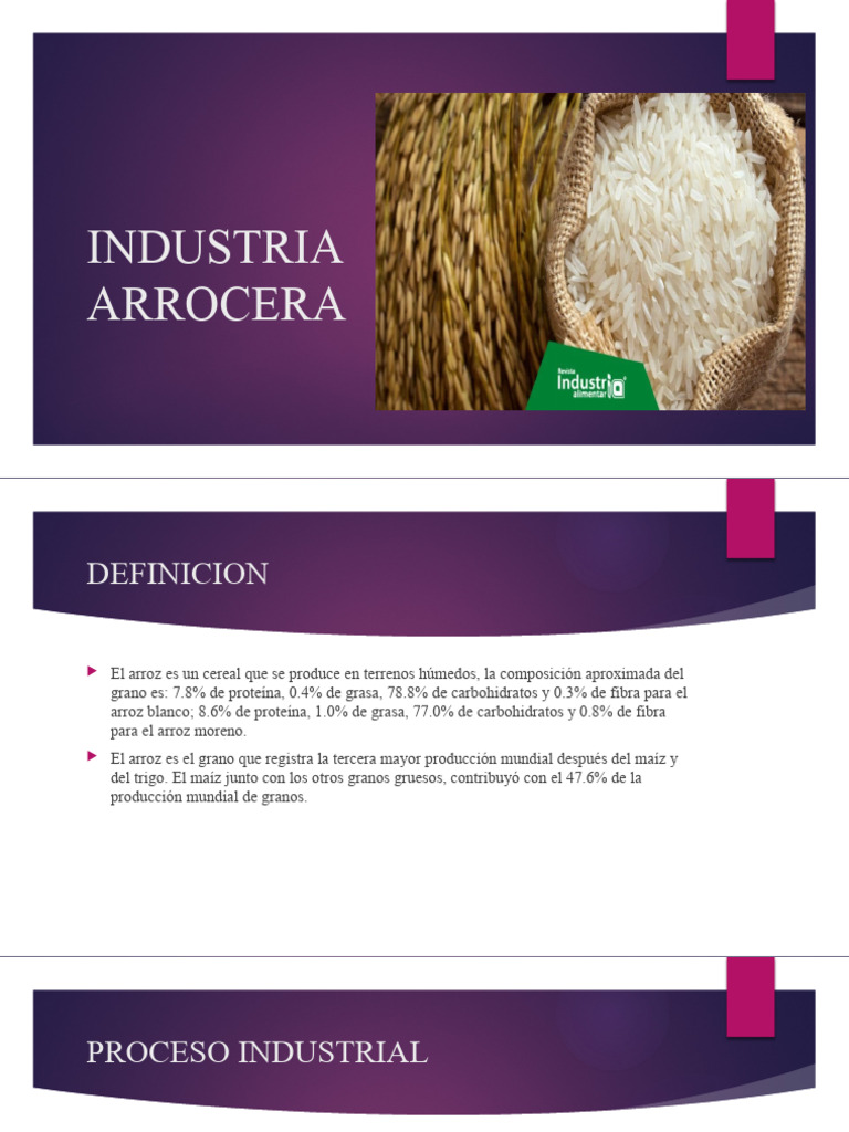 Industria Arrocera | PDF