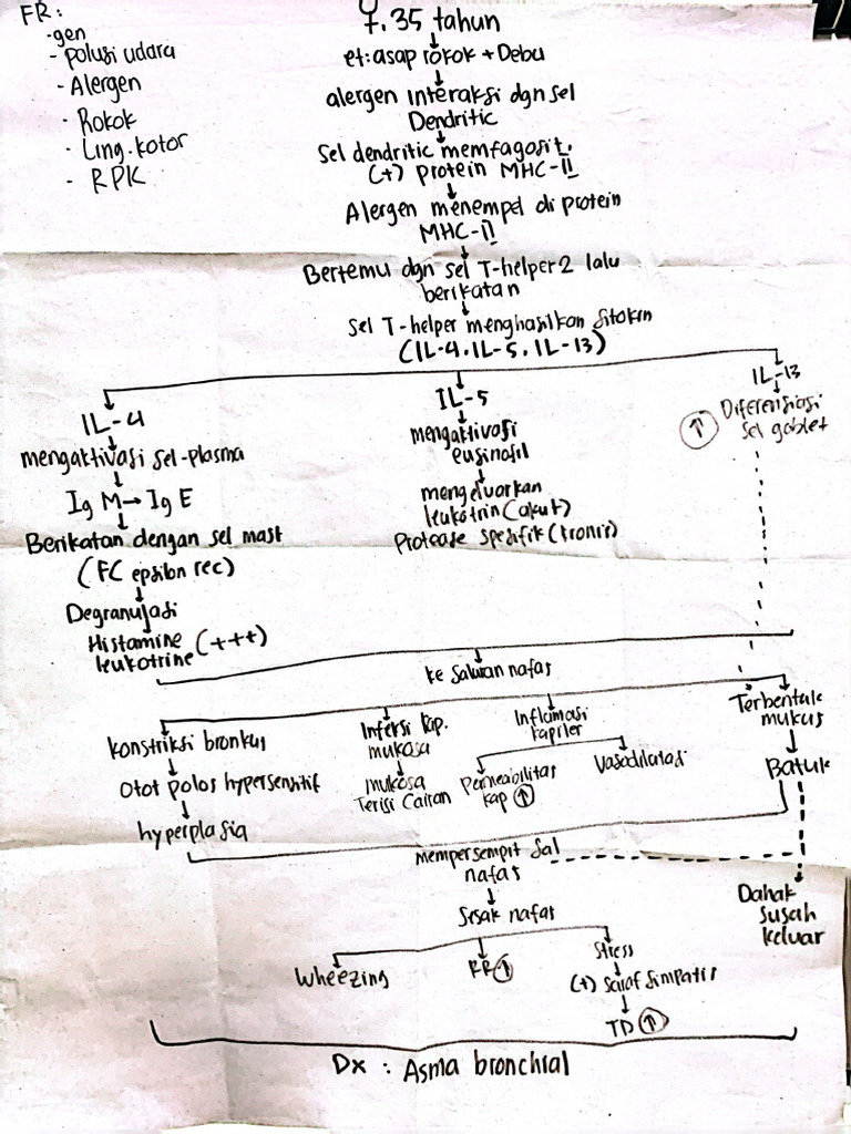 PBL Asma Bronkitis (Dr. Hendra) | PDF