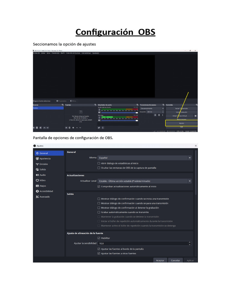 Configuración de Video y Audio en OBS | PDF