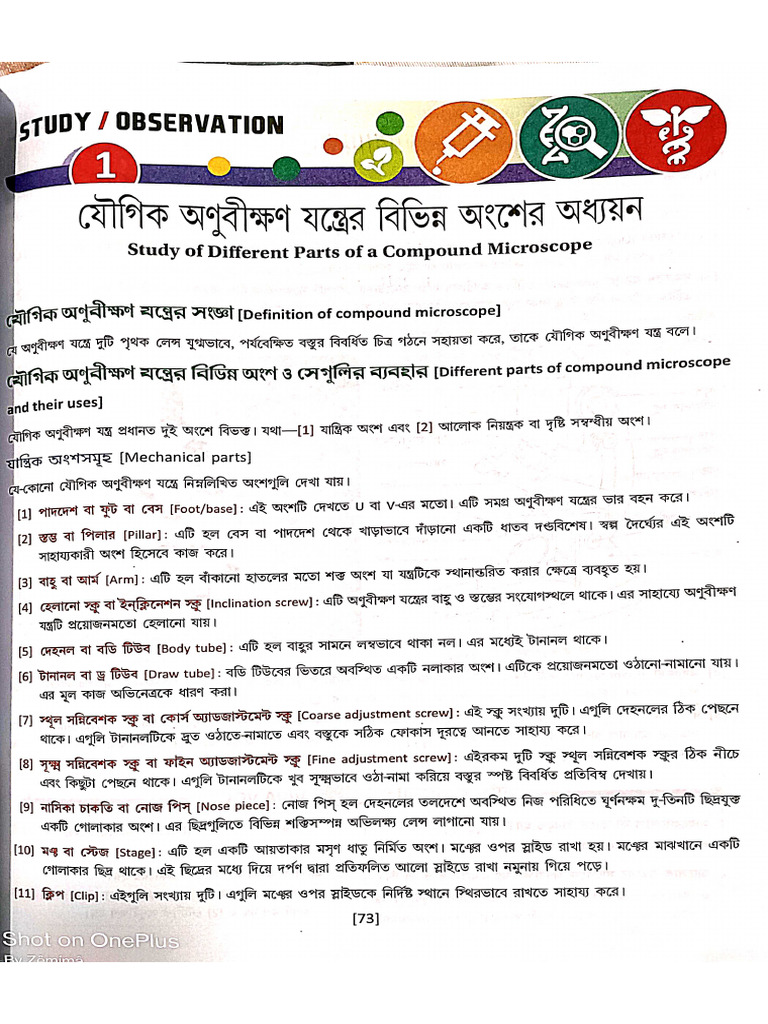 Compound Microscope Pdf