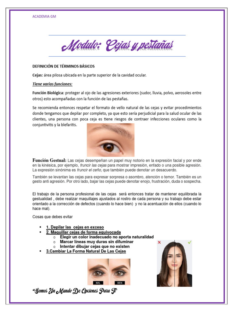 GUIA TEORICA CEJAS Y PESTAÑAS | Descargar gratis PDF | Ceja | Apariencia humana
