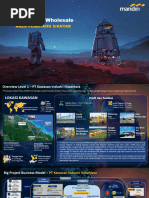 Cbas Slik | PDF | Bisnis | Pengelolaan Keuangan & Uang