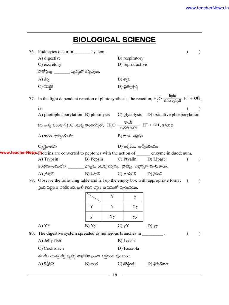 Biological Science RGUKT CET 2020 Model Question Paper | PDF | Biology