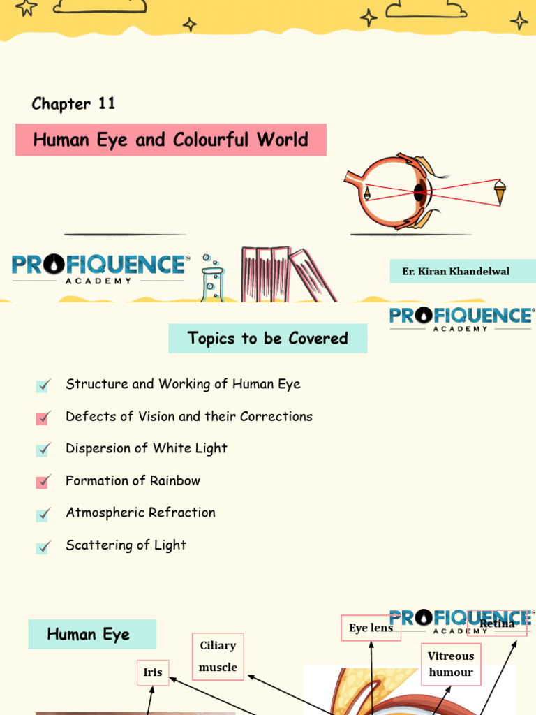 Human Eye Structure and Vision Science | PDF | Eye | Human Eye