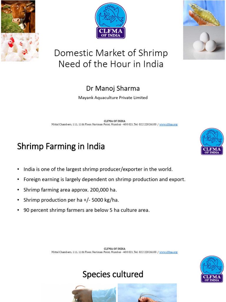 19Oct2022185830PM - Shrimp | PDF | Shrimp | Food Industry