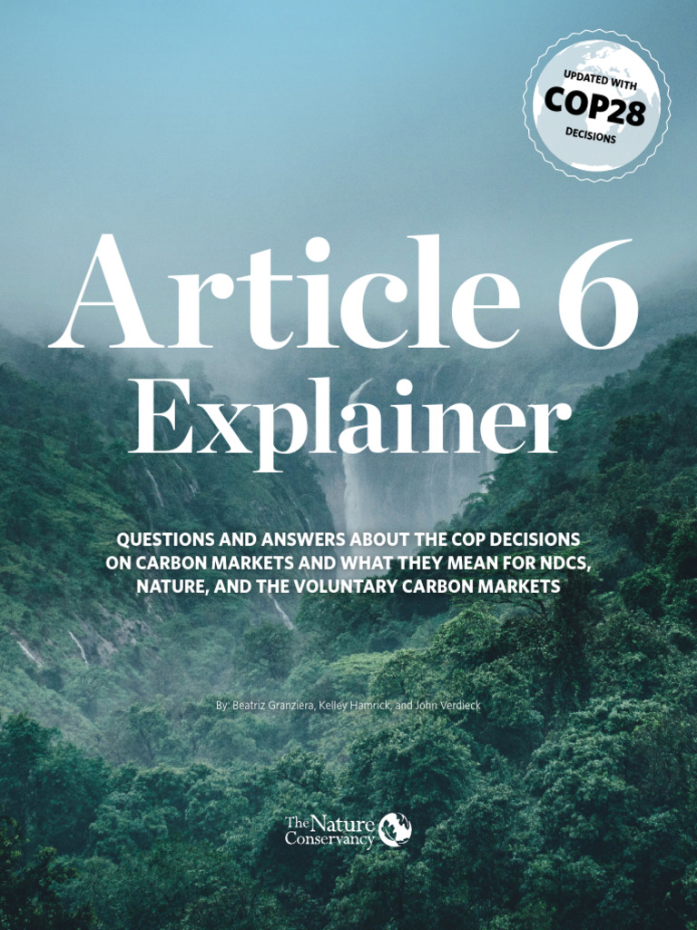 Article 6 Carbon Market Insights | PDF | Climate Change Mitigation ...