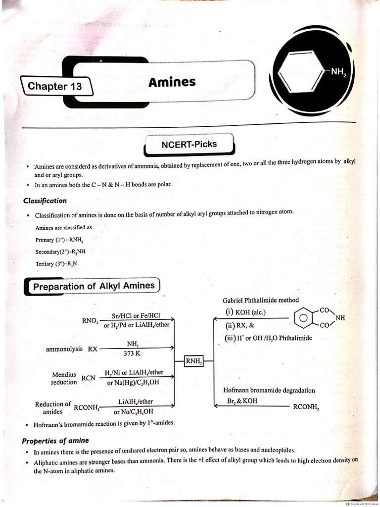 Ncert Punch Chemistry 12TH Chapter 13 | PDF