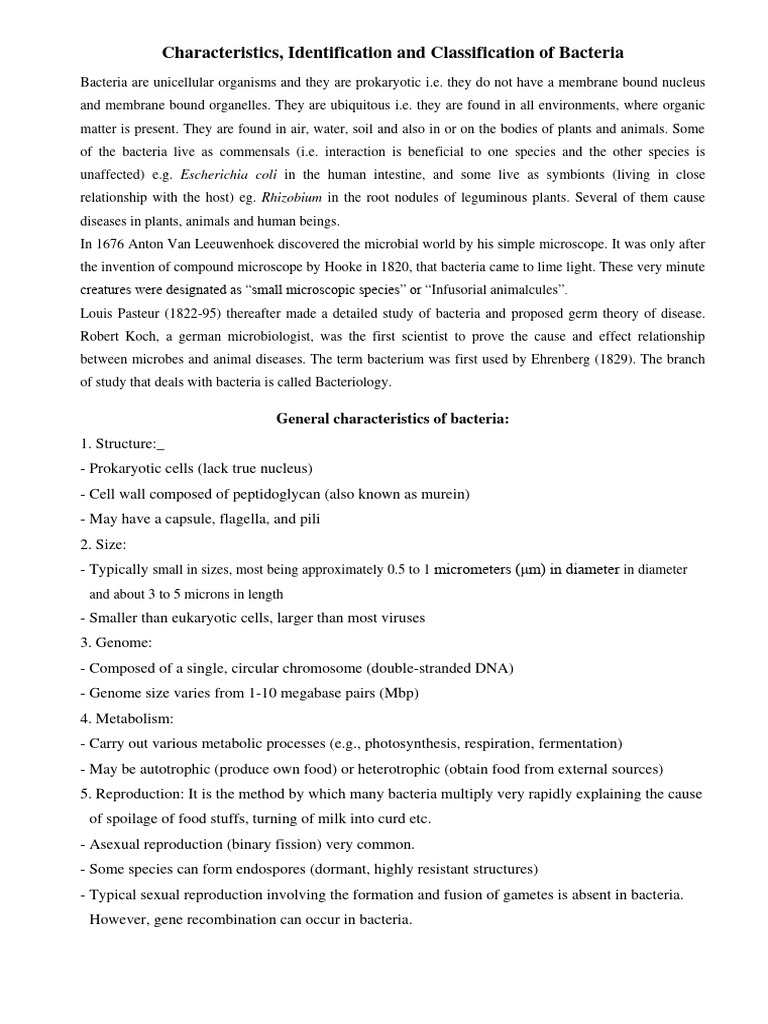 Characteristics Identification and Classification of Bacteria | PDF ...
