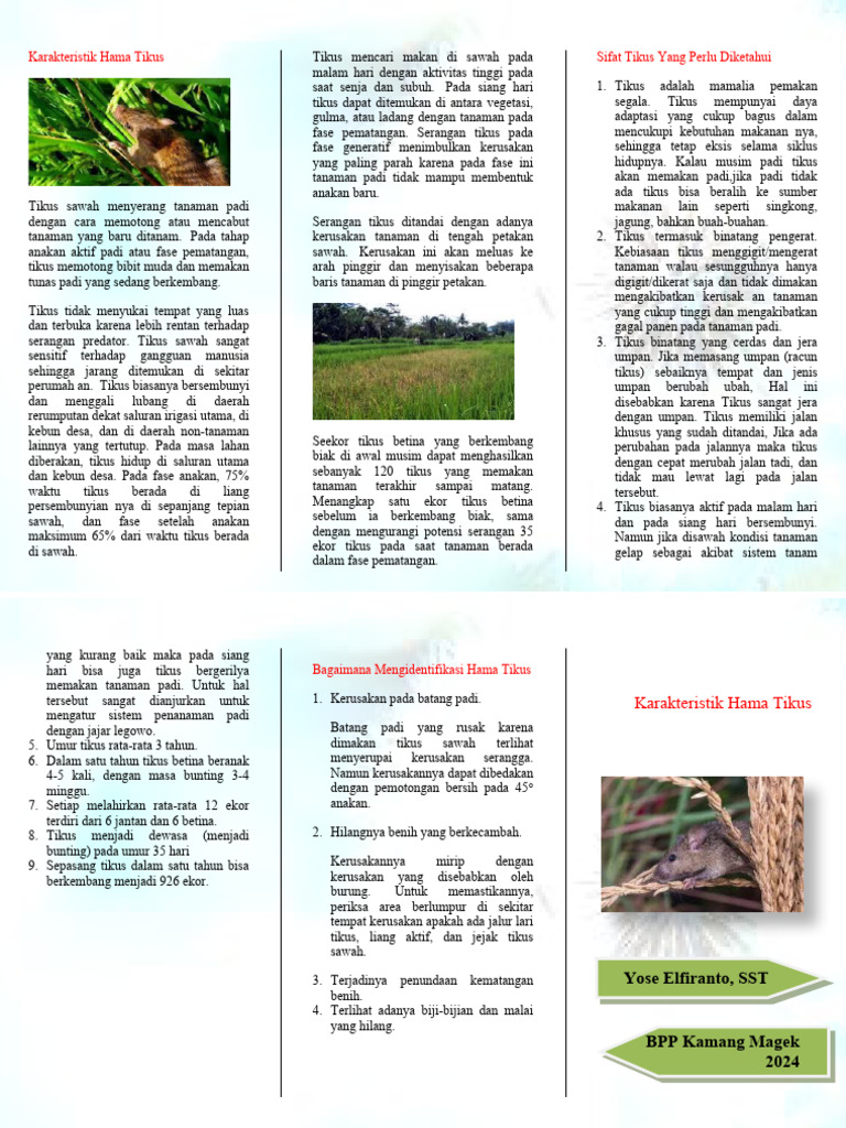 Folder Karakteristik Hama Tikus | PDF