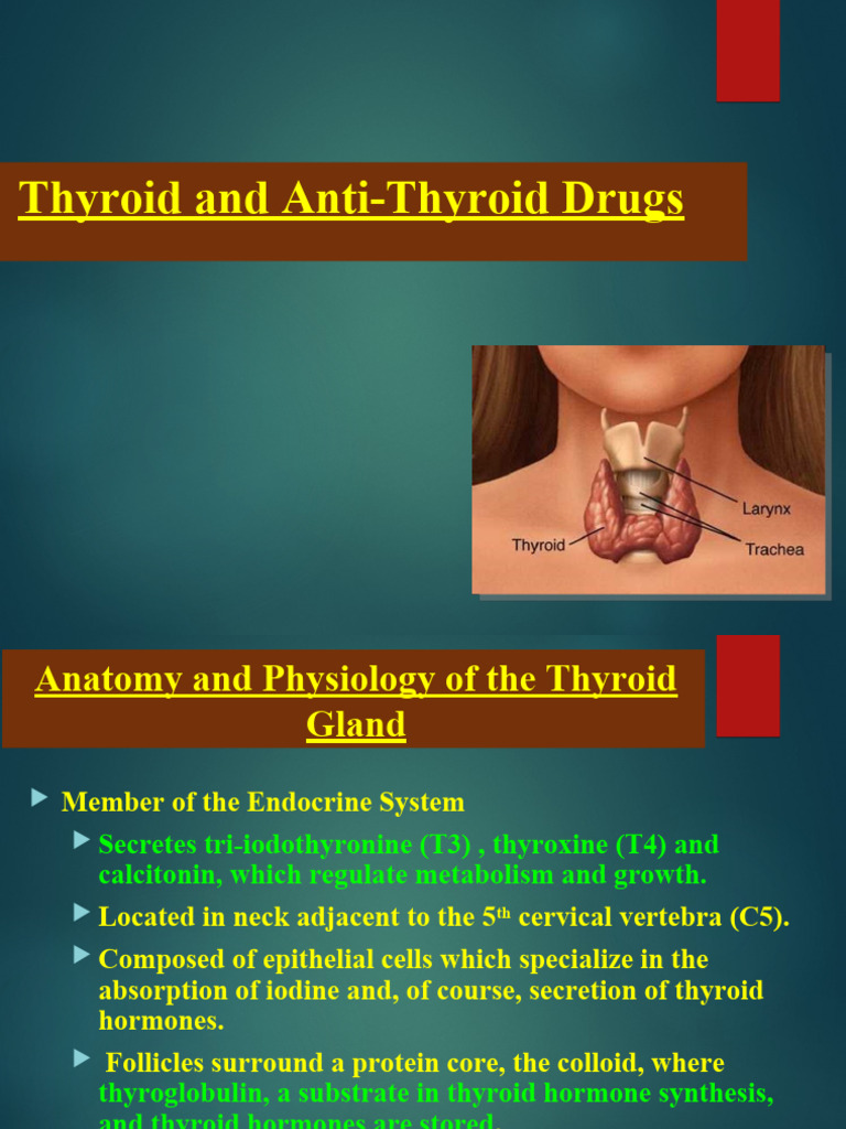Thyroid and Antithyroid Drugs | PDF | Thyroid | Hyperthyroidism