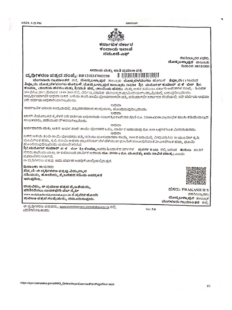 Caste Income | PDF