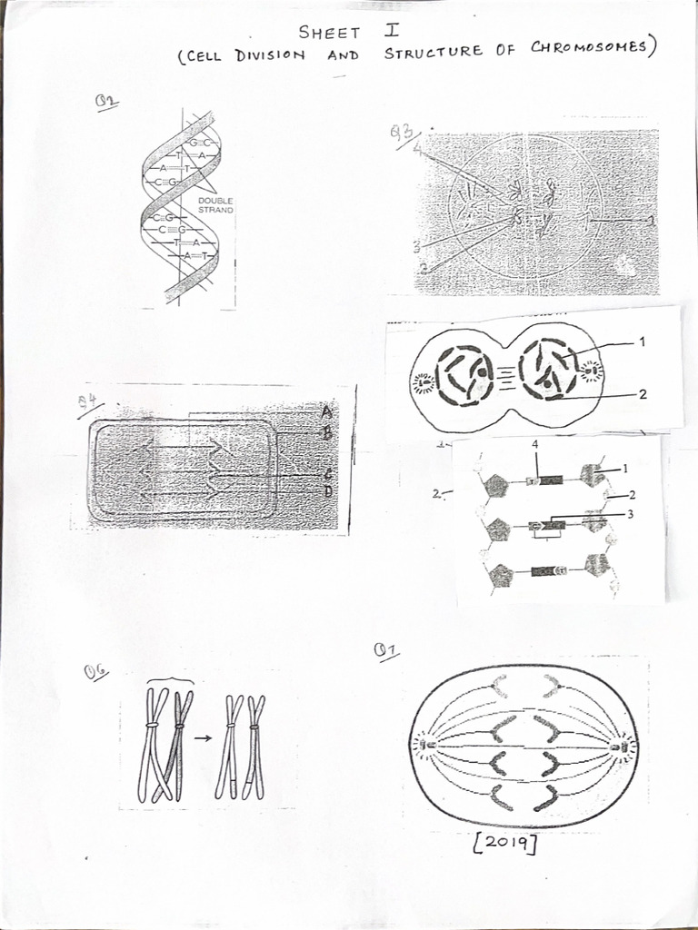 Diagrams Sheet For All | PDF