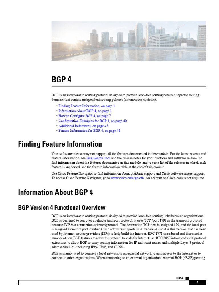 Irg bgp4 | PDF | Ip Address | Routing