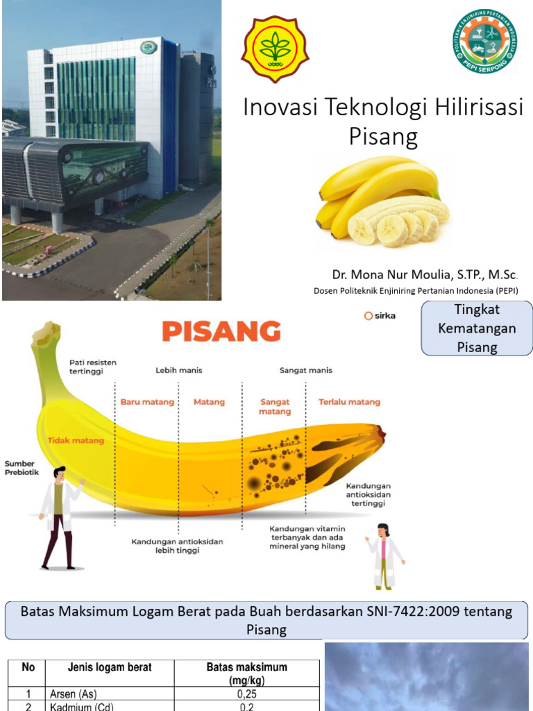Inovasi Teknologi Hilirisasi Pisang | PDF