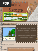 Interactive Guide to Ecological Succession | PDF | Flowers | Earth Sciences