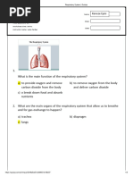 Respiratory System Grade 5 Study Guide | PDF | Lung | Respiratory System
