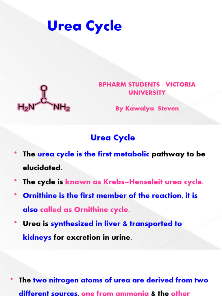 Urea CYCLE | PDF | Biosynthesis | Arginine