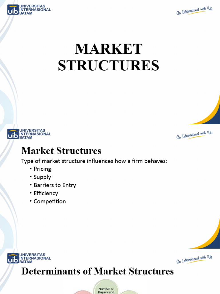Meeting 7 - Market Structure | PDF | Perfect Competition | Oligopoly