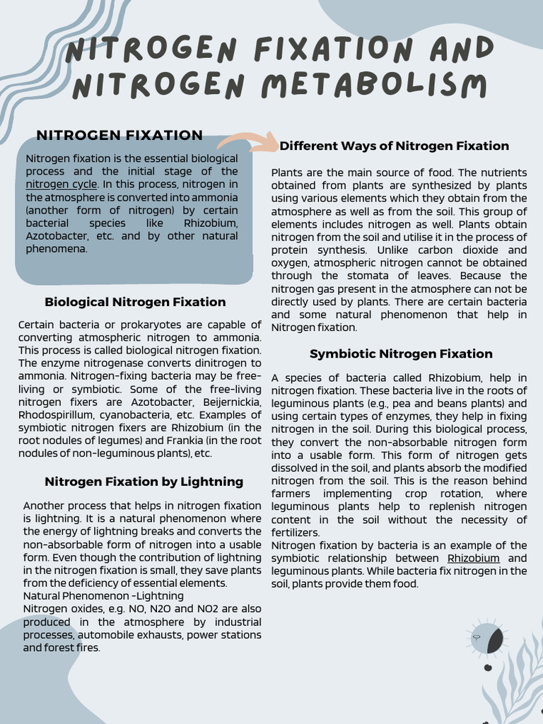 Nitrogen Fixation | PDF | Nitrogen | Biology