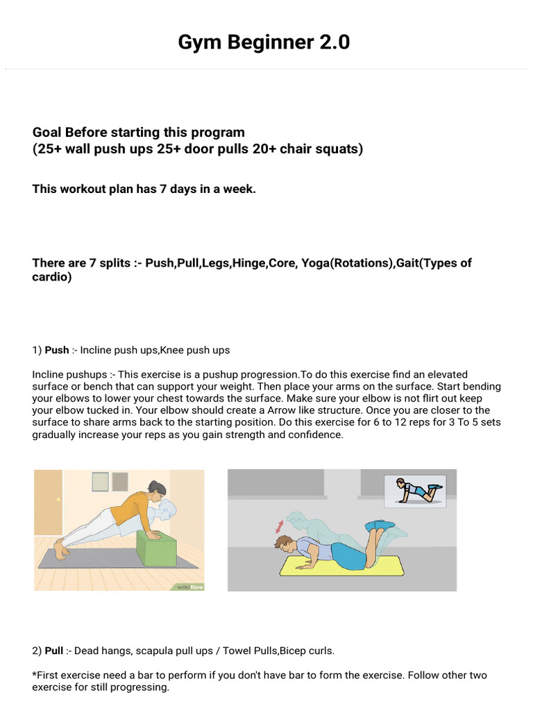 Gym Beginner 2.0 | PDF