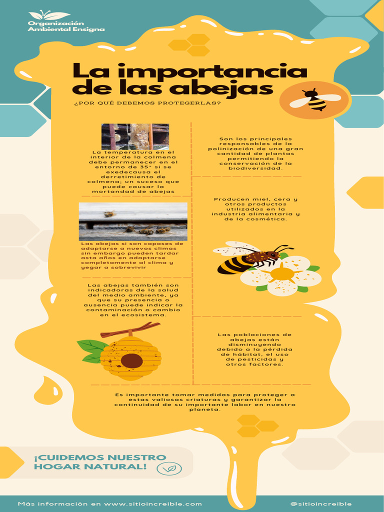 Infografía Importancia de Las Abejas Creativa Amarillo y Azul | PDF | Entorno natural | Abejas