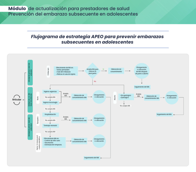 Flujograma Estrategia APEO | PDF | Humanidades Médicas | Derechos ...