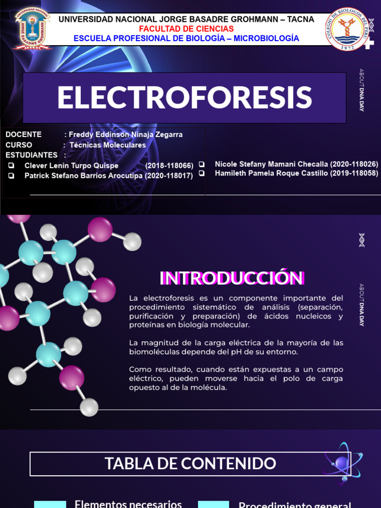 T4_Electroforesis - PPT | PDF | Electroforesis | Blot (biología)
