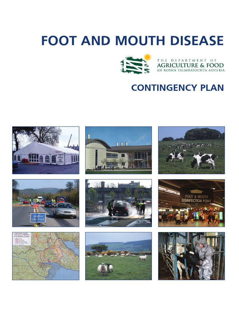 FMD Contingency Plan | PDF | Epidemiology