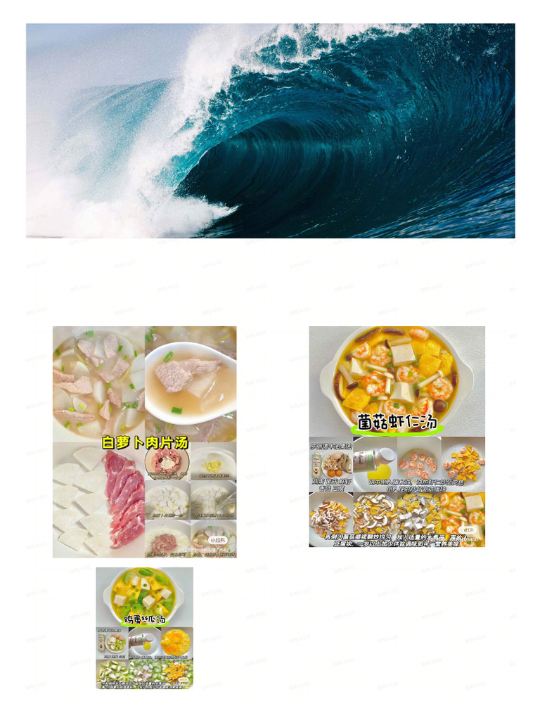 Food | PDF