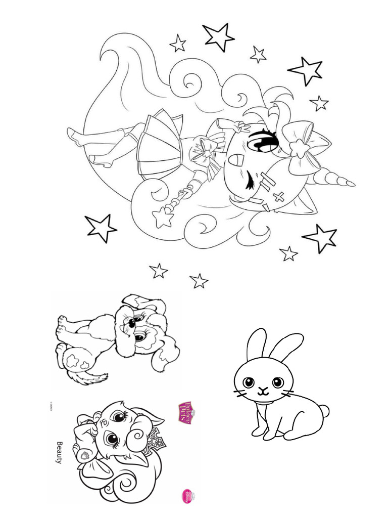 Pet | PDF