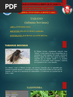 Tabano | PDF | Insectos | Organismos