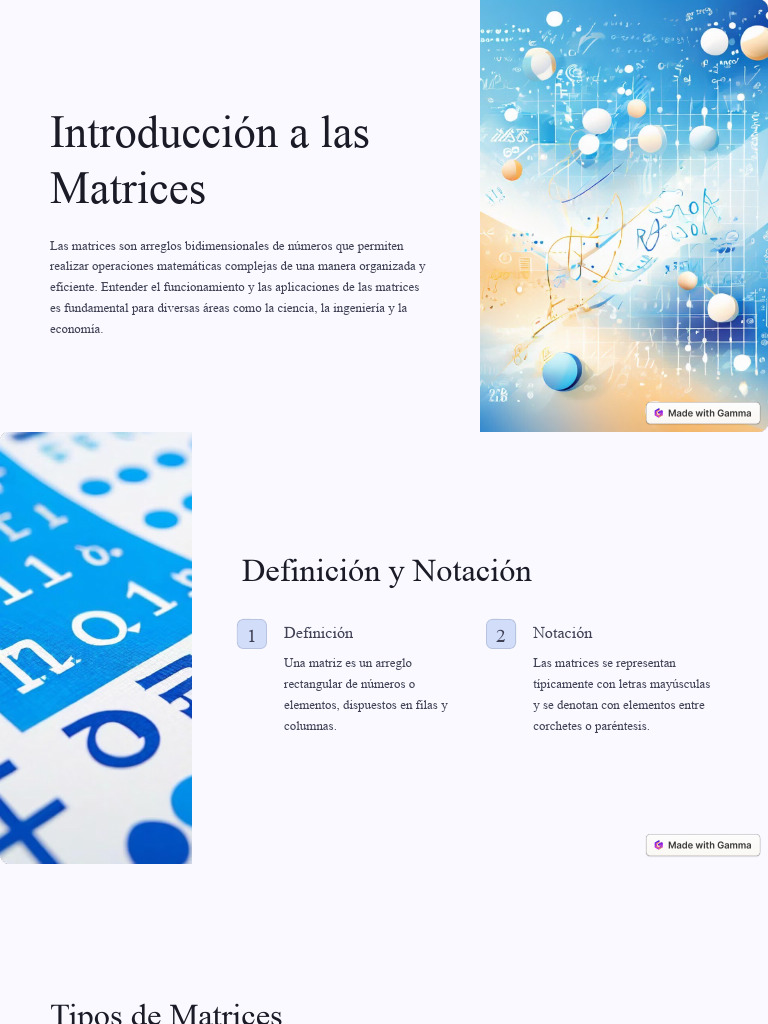 Introducción A Las Matrices | PDF | Matriz (Matemáticas) | Determinante