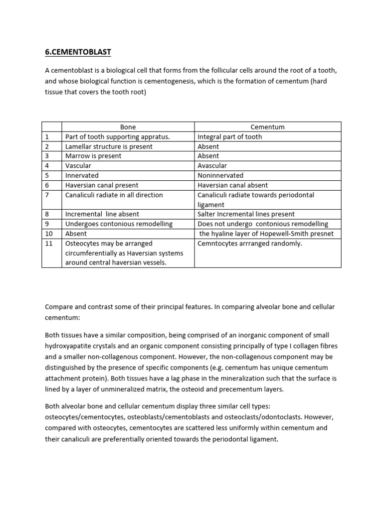 Second Year 1st Practical Part 2 Pdf Bone Epithelium