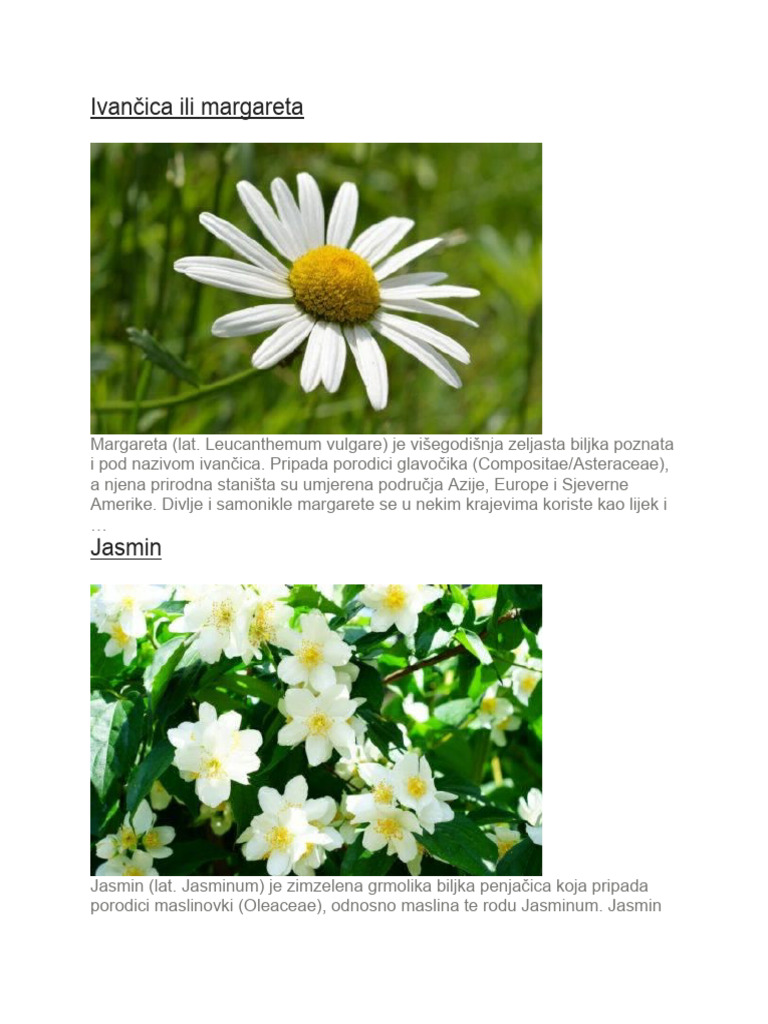 Vrste cveća5 | PDF