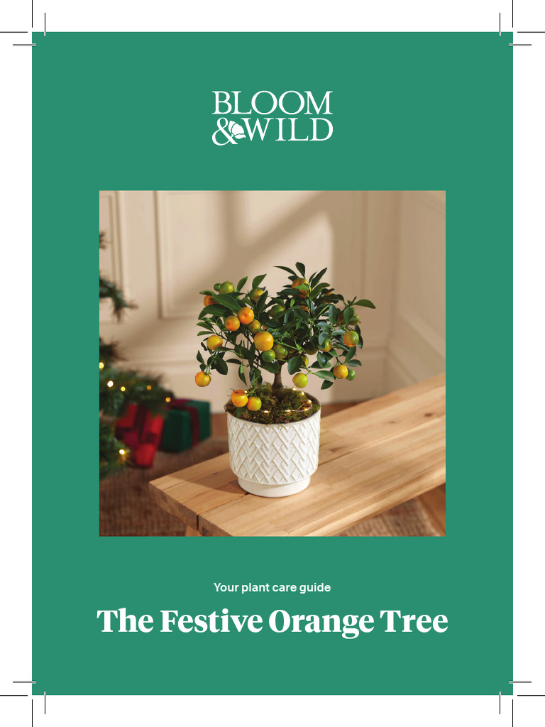 B&W - 2023 - Winter Plants - The Festive Orange Tree - AW | PDF ...