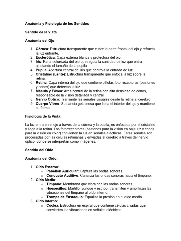 Anatomía y Fisiología de Los Sentidos | PDF | Gusto | Ojo humano