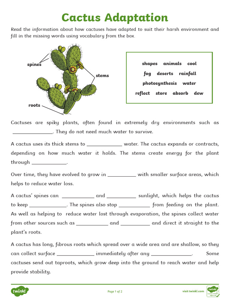 t-tp-2660795-cactus-adaptation-_ver_5 | PDF | Plants | Water