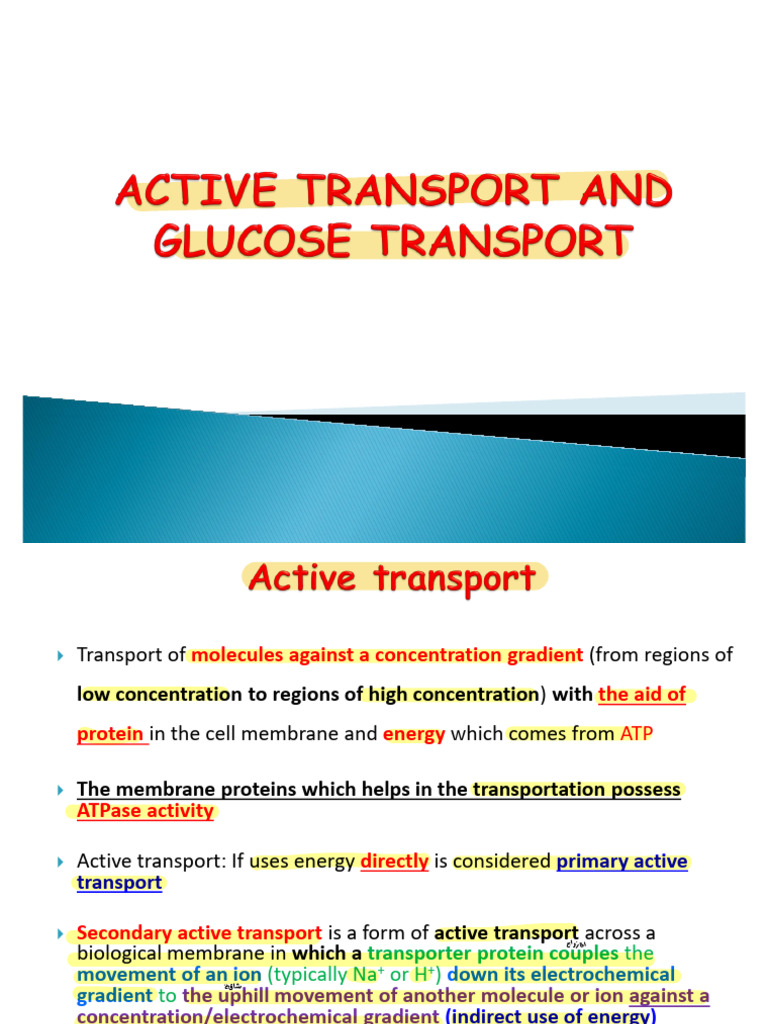 Chapter 1 | PDF | Adenosine Triphosphate | Macromolecules