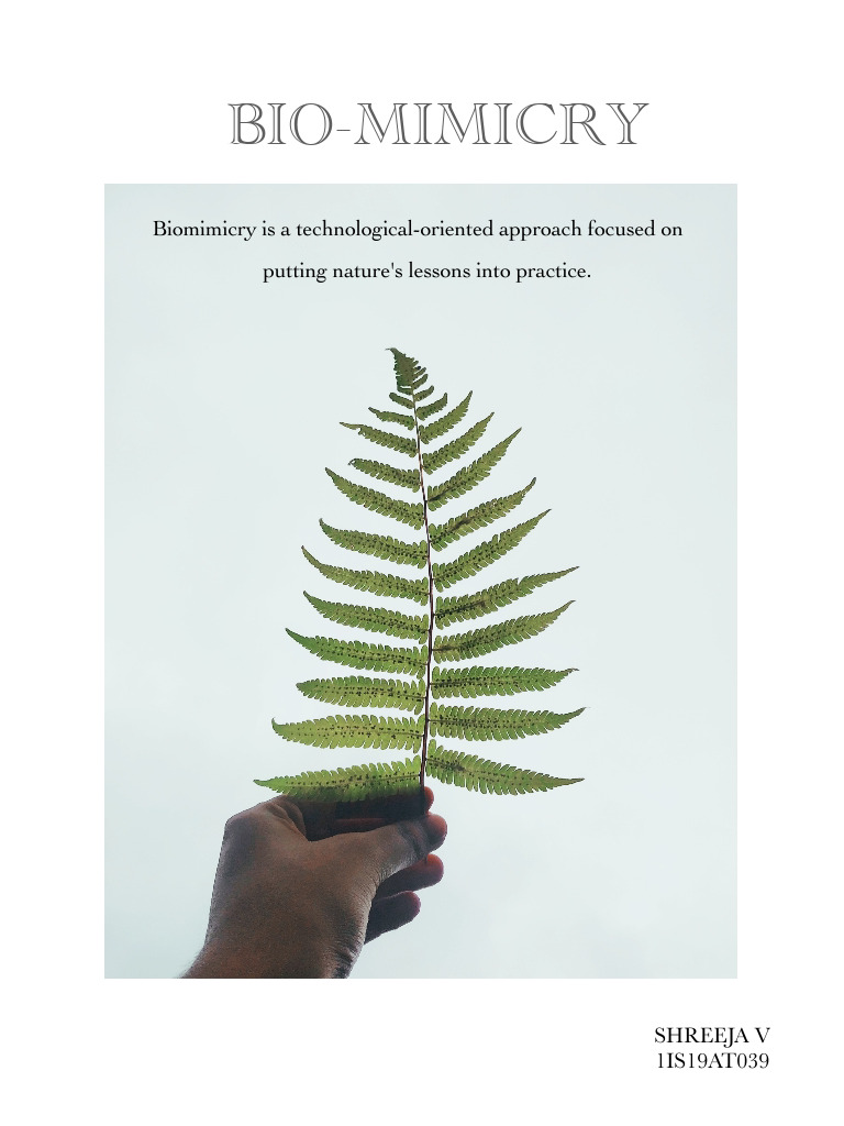 Bio-Mimicry (S) - 2 | PDF