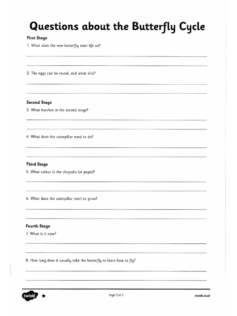 Butterfly Cycle | PDF