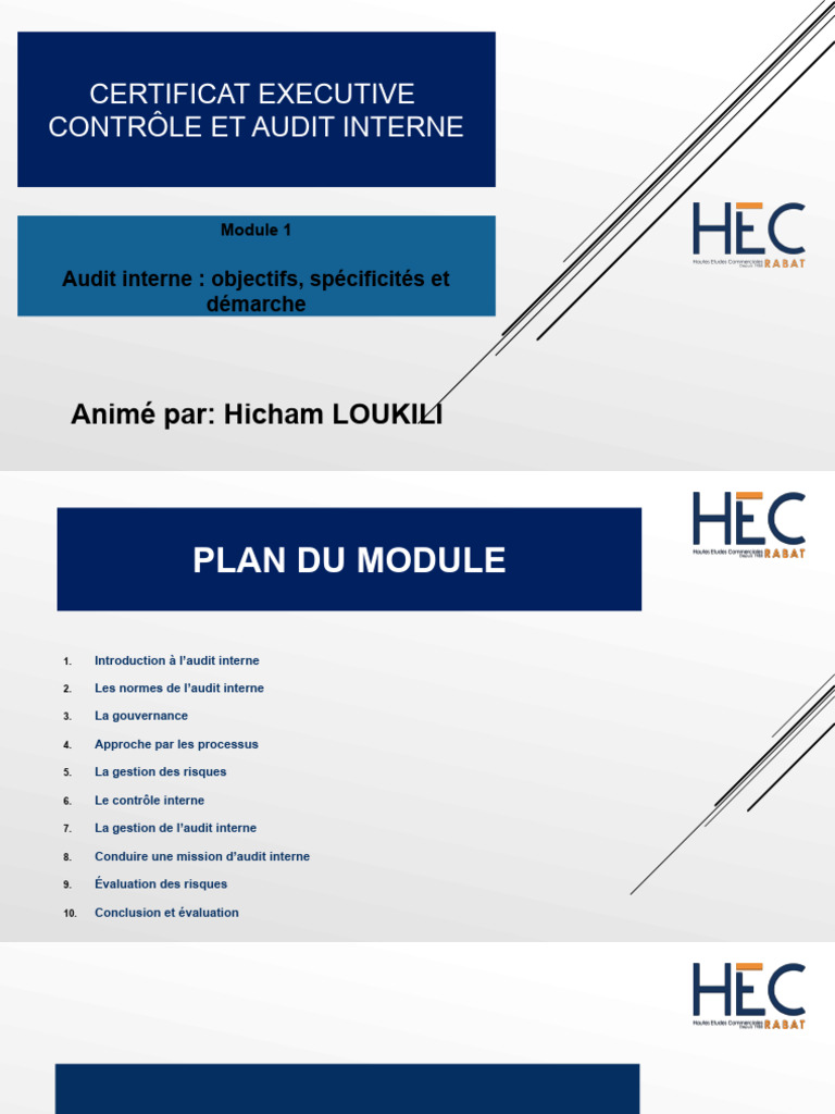 Audit Interne - Objectifs Spécificités Et Démarche 6 7 24 | PDF | Audit | Business