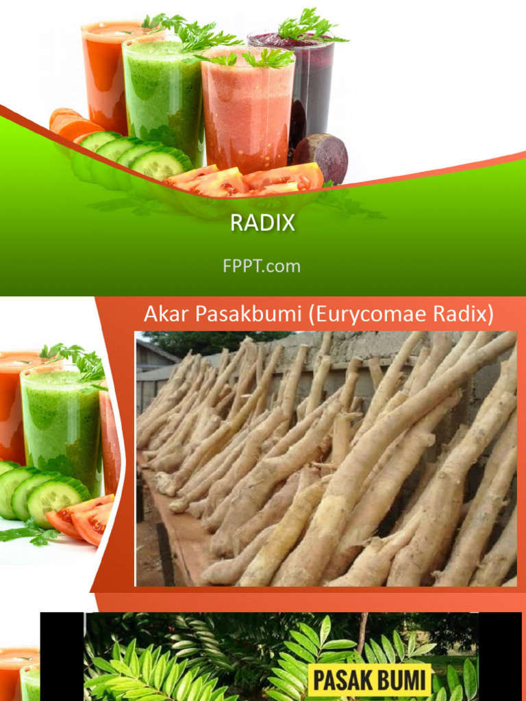 Farmakognosi Bab 3 (Radix) X | PDF