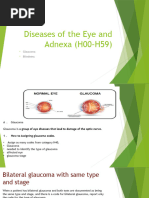 Glaucoma Coding Guidelines and Examples | PDF | Visual Impairment ...