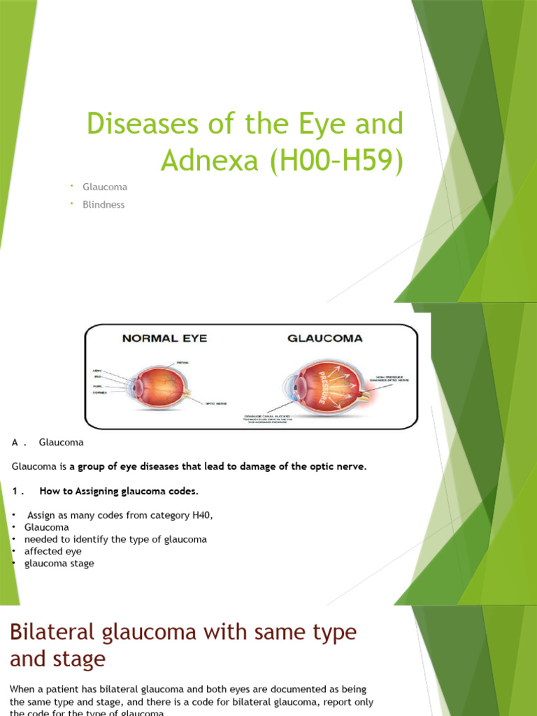 Diseases of The Eye and Adnexa | PDF | Glaucoma | Visual Impairment