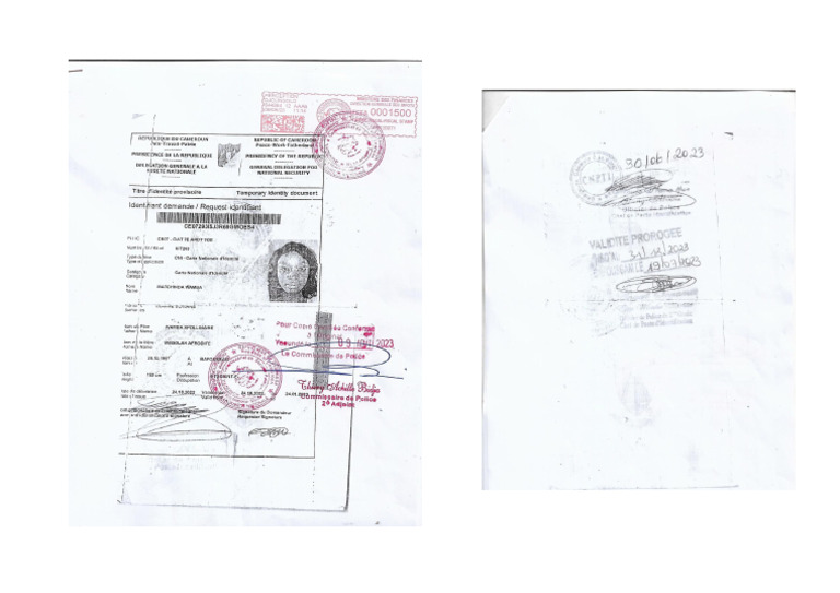 Compressed CNI SCAN IDjqr | PDF