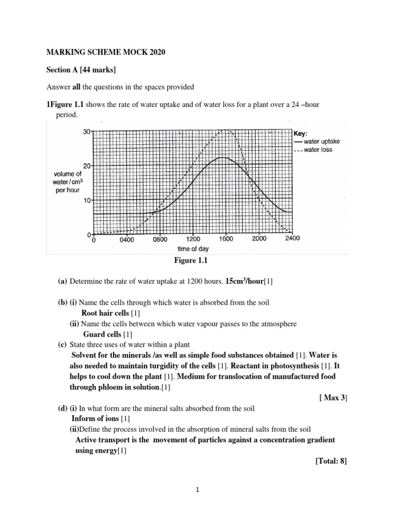 BIO12 Mock p2 Marking Scheme | PDF | Ear | Enzyme