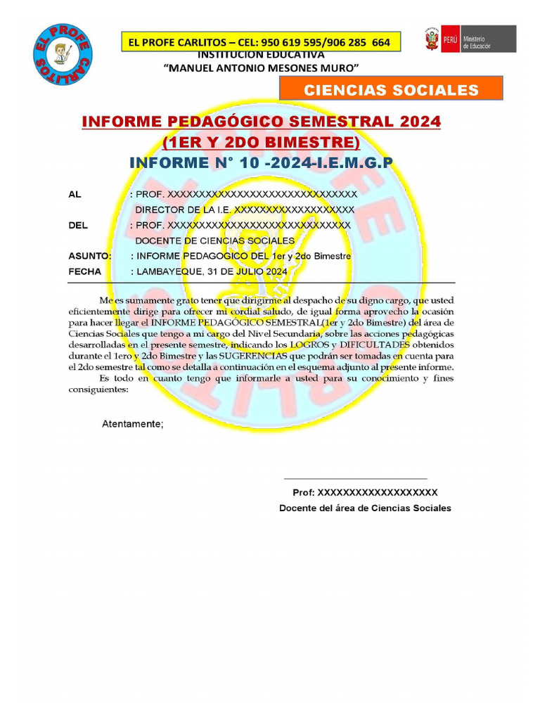 Informe Pedagogico - Marzo - Julio - Ciencias Sociales | PDF