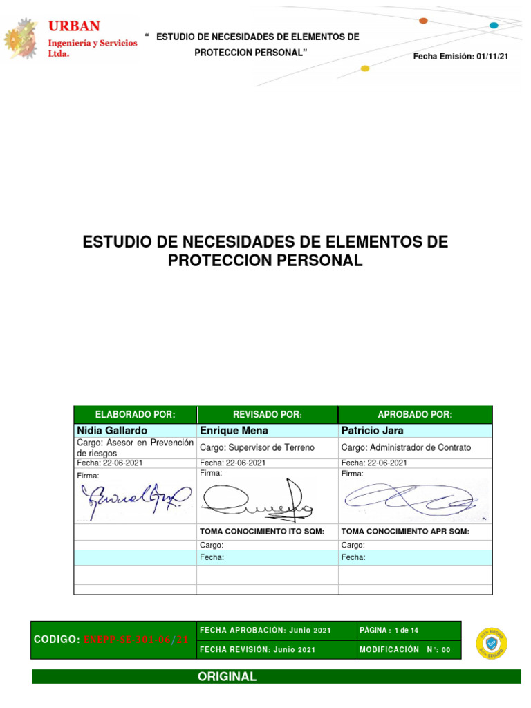 Estudio de Necesidades de Epp 2021 - Urban Ing PDF | PDF | Color ...